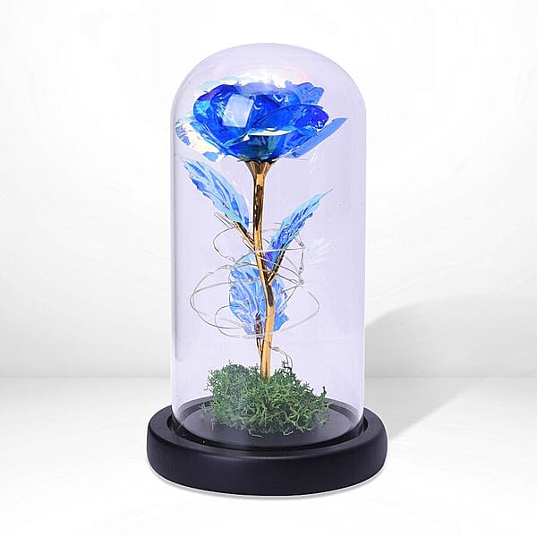 Galaxy Blue Rose Flower Gift in Elegant Gift Box (Size 11x21cm) (3xAAA ...
