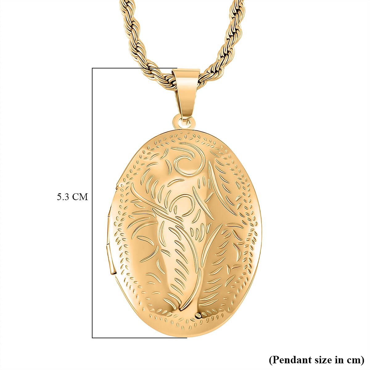 Pendant with Chain (Size 22-2) - 4337628 - TJC