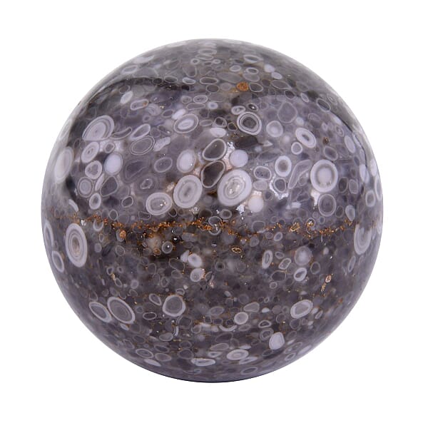 Gem Treasures - Round Fossil Sphere (Size 3-4 Cm) Approx. 480 Ct ...