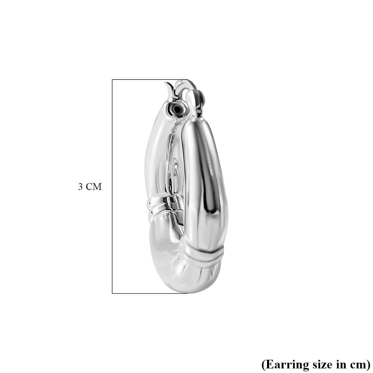 Hoop Earrings (With Clasp) in Sterling Silver - 7305333 - TJC