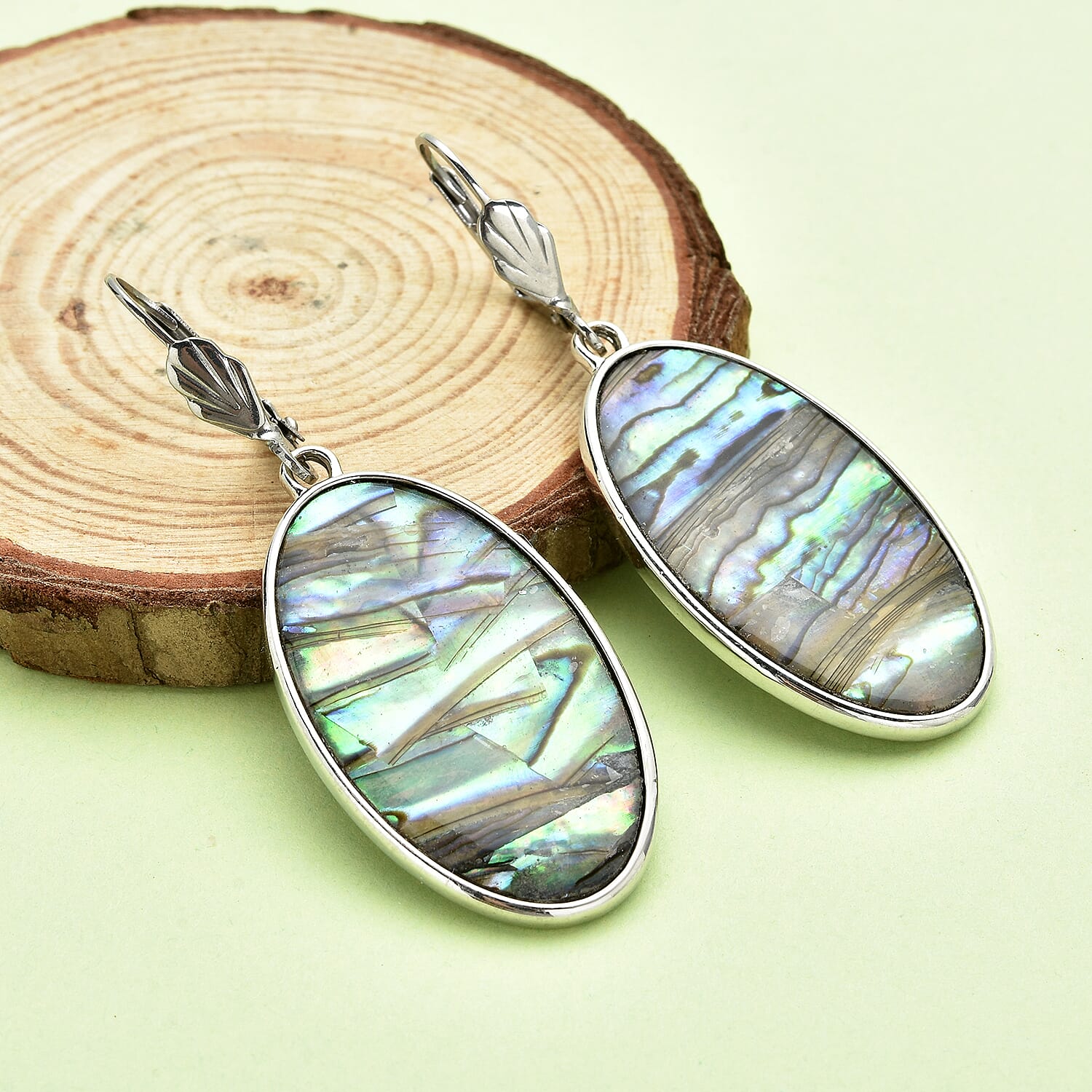 One time Closeout Deal - Abalone Shell Earrings - 7810758 - TJC