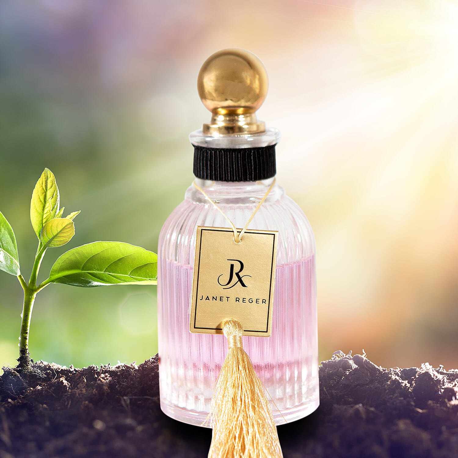 Laurelle Janet Reger Diffuser 100ml - 8862467 - TJC